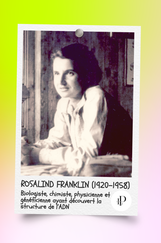 Effet Matilda : Définition, Origine et Exemples de Femmes - Les Pionnières